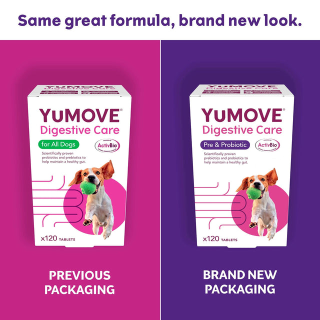 YuMOVE Digestive Care Pre & Probiotic for dogs & puppies